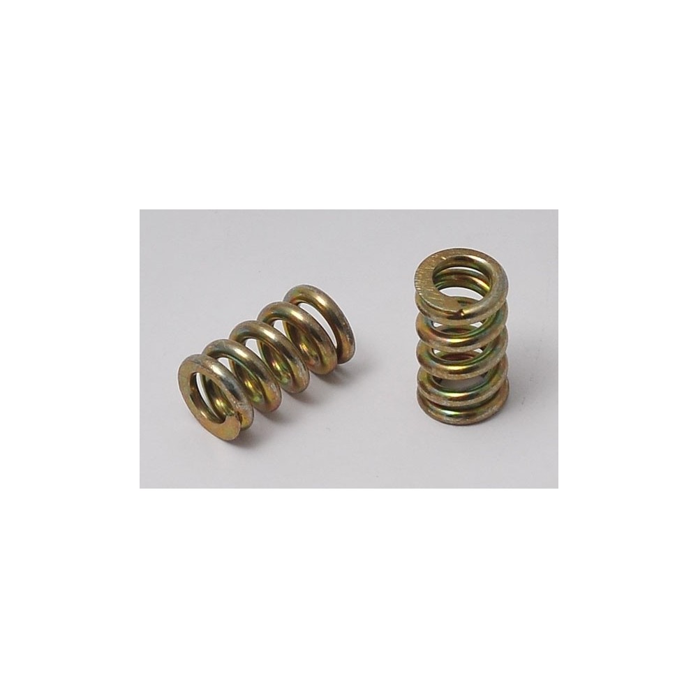 Diff Internal Gear Spring for LSD Z12
